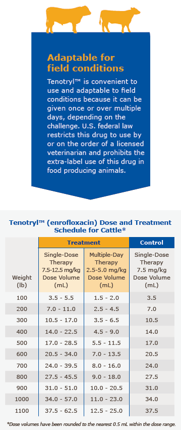 Tenotryl with beef - Canada