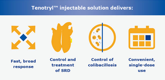 Tenotryl with beef - Canada