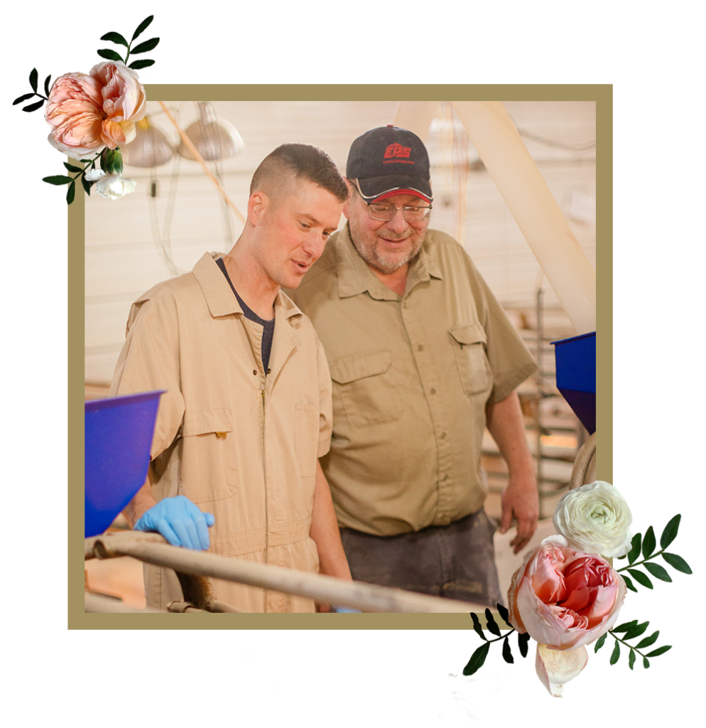 Combat Sow Mortality - USA