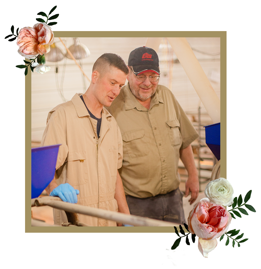 Combat Sow Mortality - USA