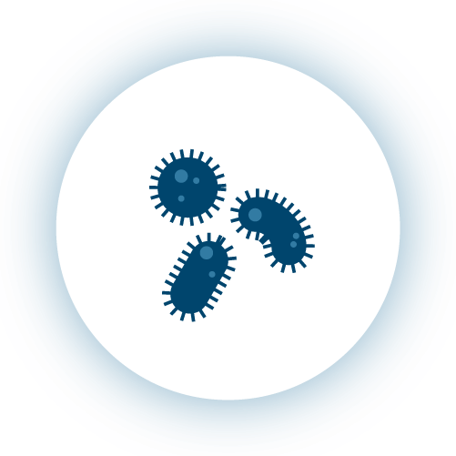 Combat Sow Mortality - USA