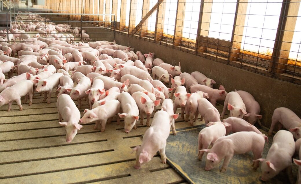 Products by Species - USA